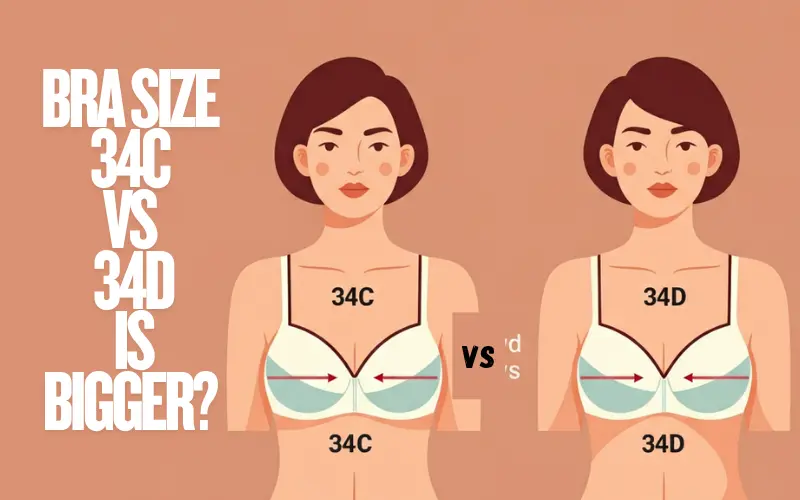 Which Bra Size 34C Vs 34D Is Bigger And Why Bra Size Chart Which Bra Size 34C Vs 34D Is Bigger And Why Bra Size Chart